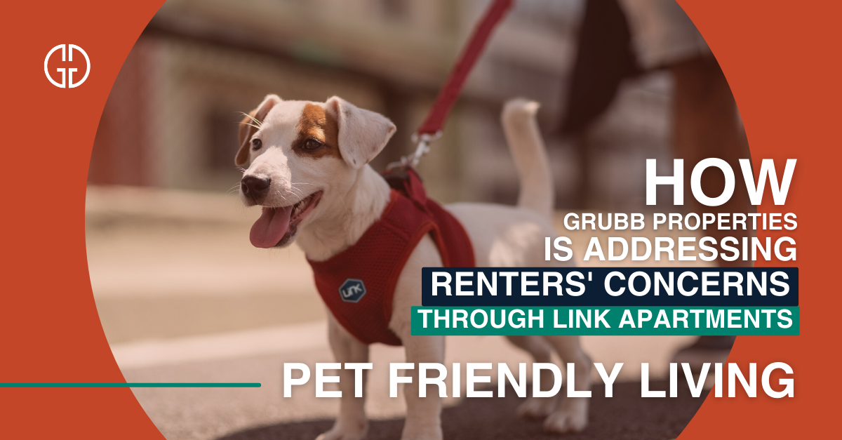 State of the Young American Renter Survey | Grubb Properties